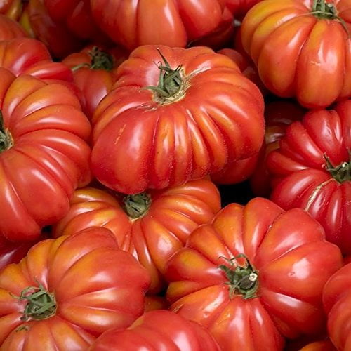 Frozen Seed Capsules TWE5 - Costuleto Genevese Tomato - Grow Now or ...
