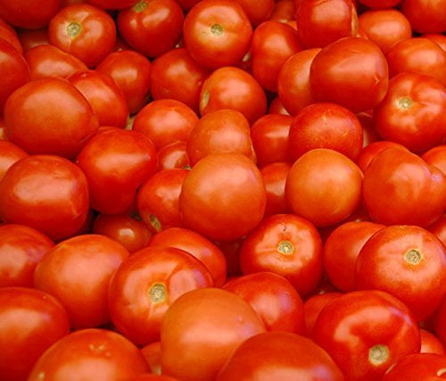 Frozen Seed Capsules TWE5 - New Yorker Tomato - Grow Now or Store for ...