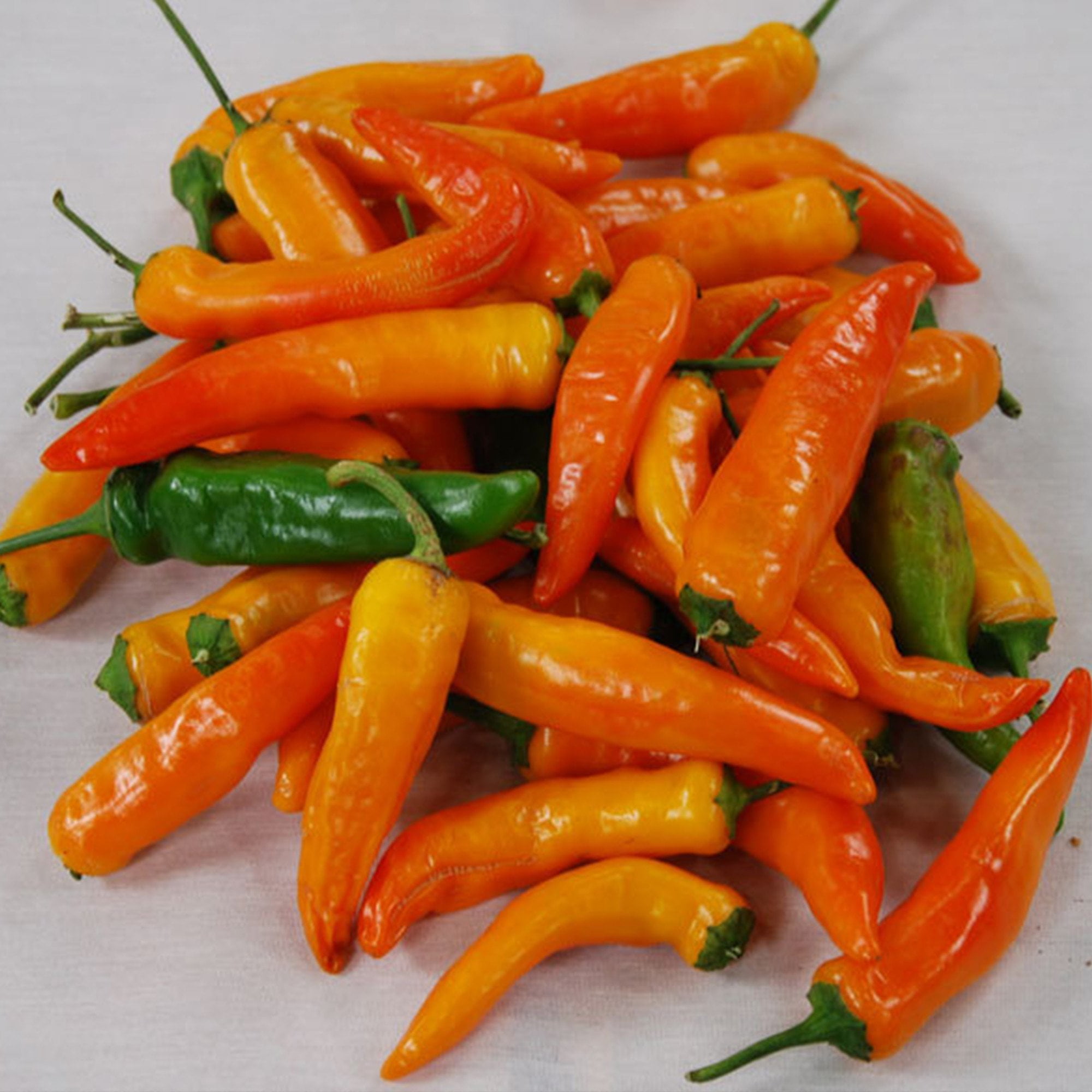 Frozen Seed Capsules TWE5 - Tequila Sunrise Pepper - Grow Now or Store ...