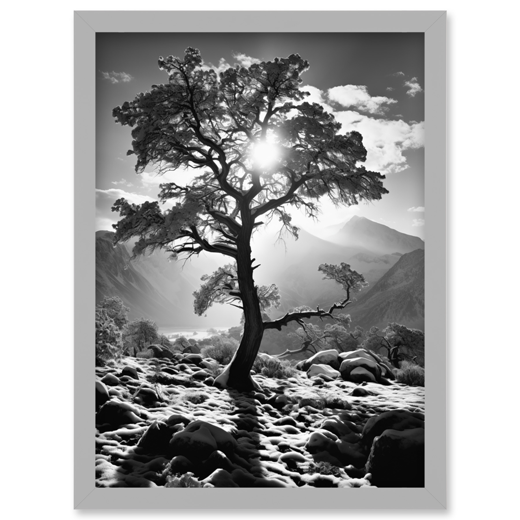 Frozen Tree Outline in Mountain Forest Landscape Covered in Snow Black ...