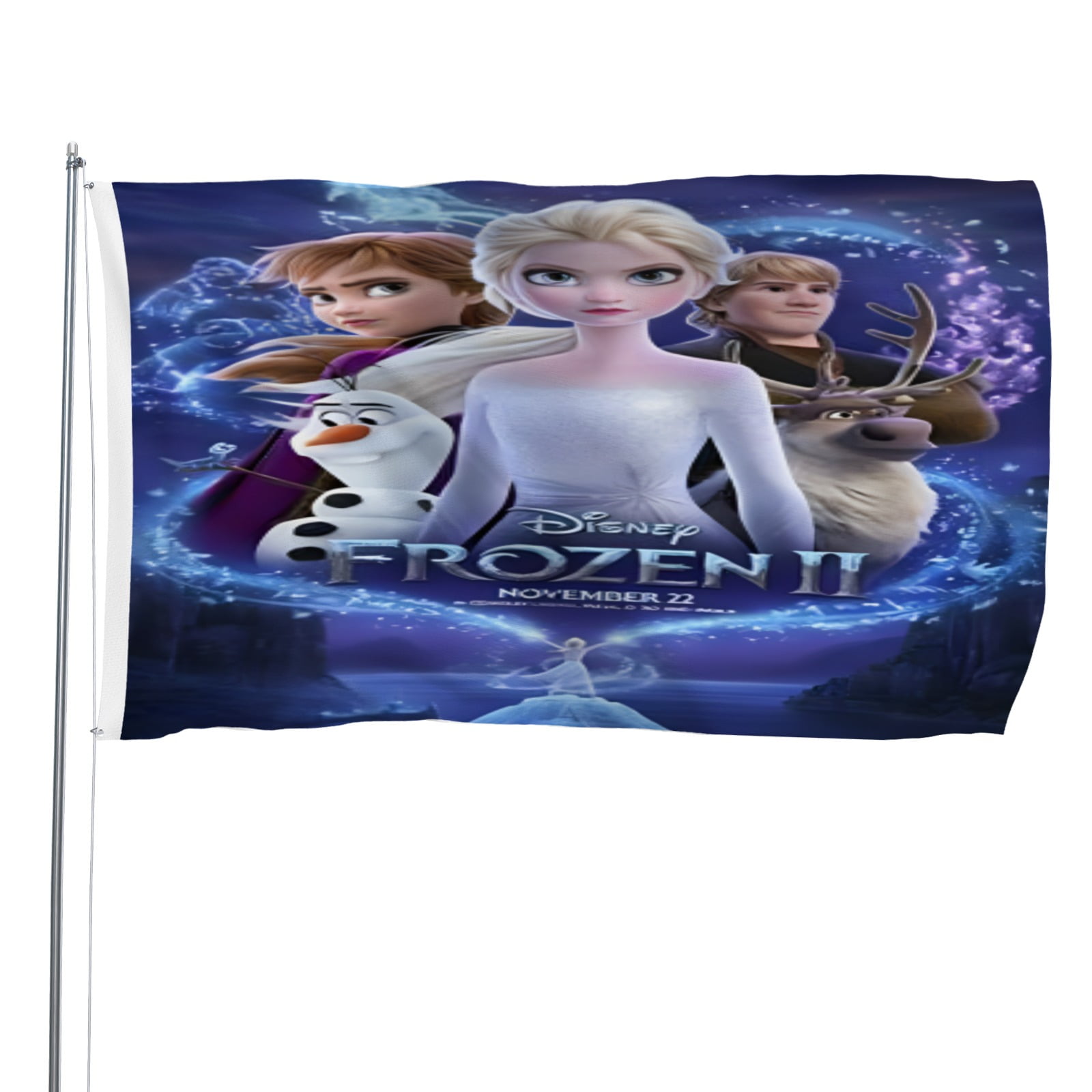 Frozen Outdoor Decoration