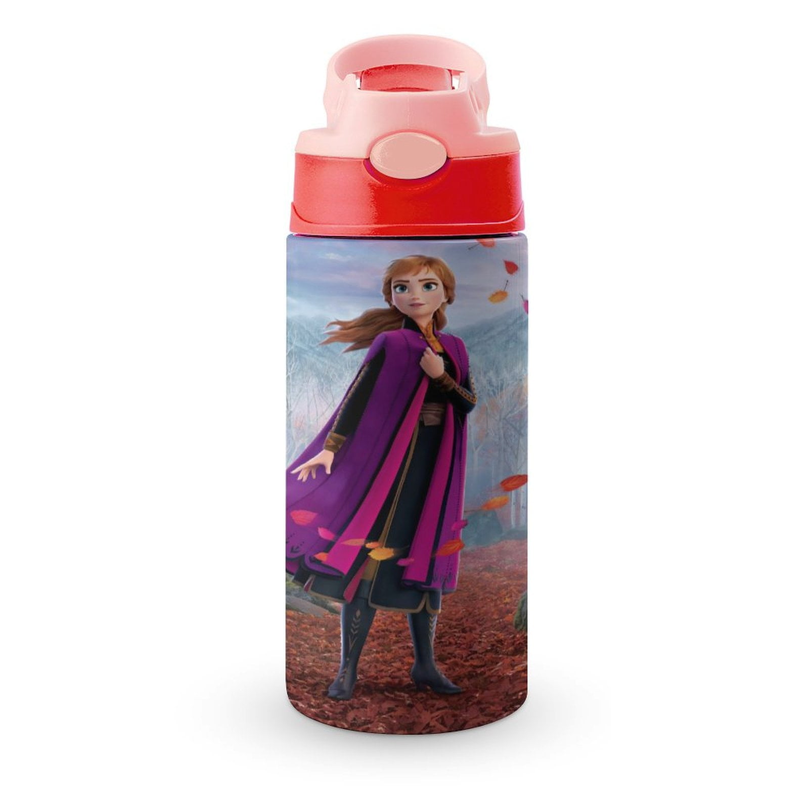 Frozen2 Anna And Elsa Girl Kids Stainless Steel Vacuum Insulated Water ...