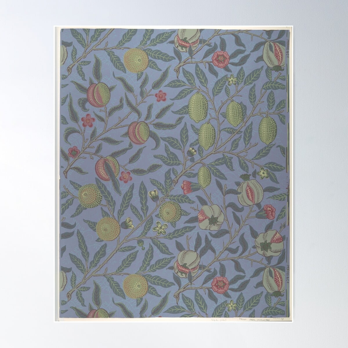 Fruit And Columbine Poster Wall Art, Modern Wall Decor For Living Room ...