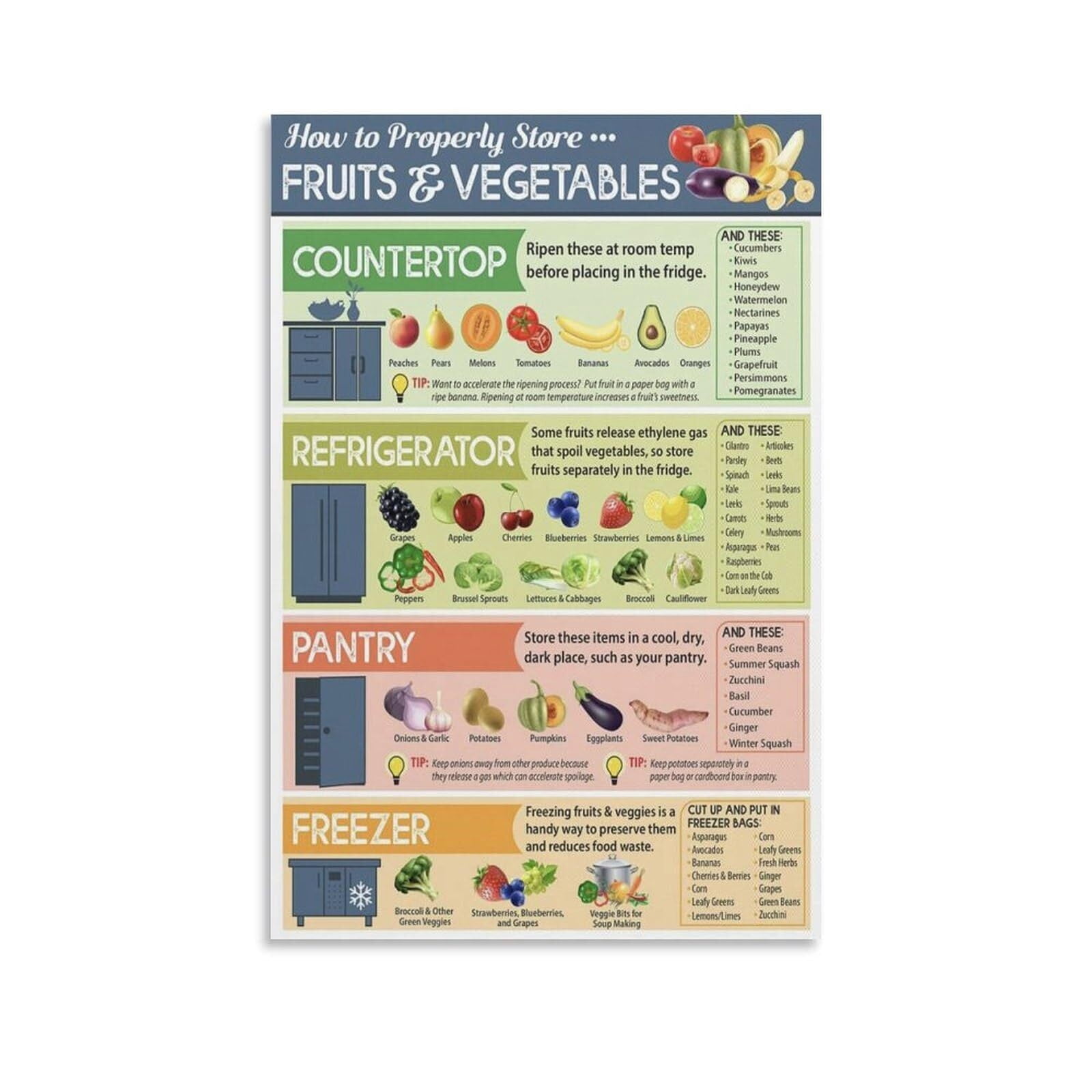 Fruit And Vegetable Storage Chart Poster,Food Safety Guide (2) Canvas ...