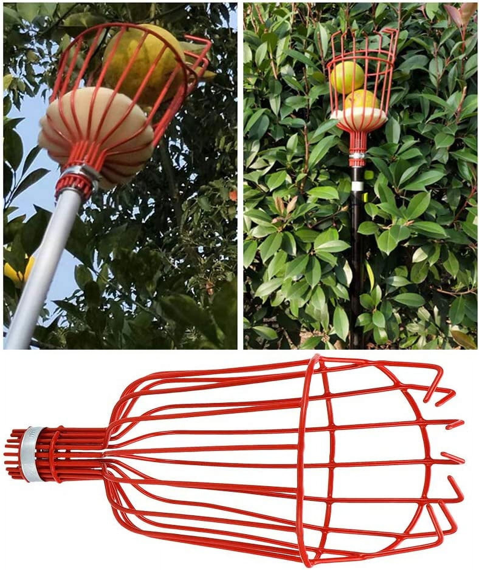Fruit Catcher Basket, Replacement Multipurpose Fruit Picker Head ...