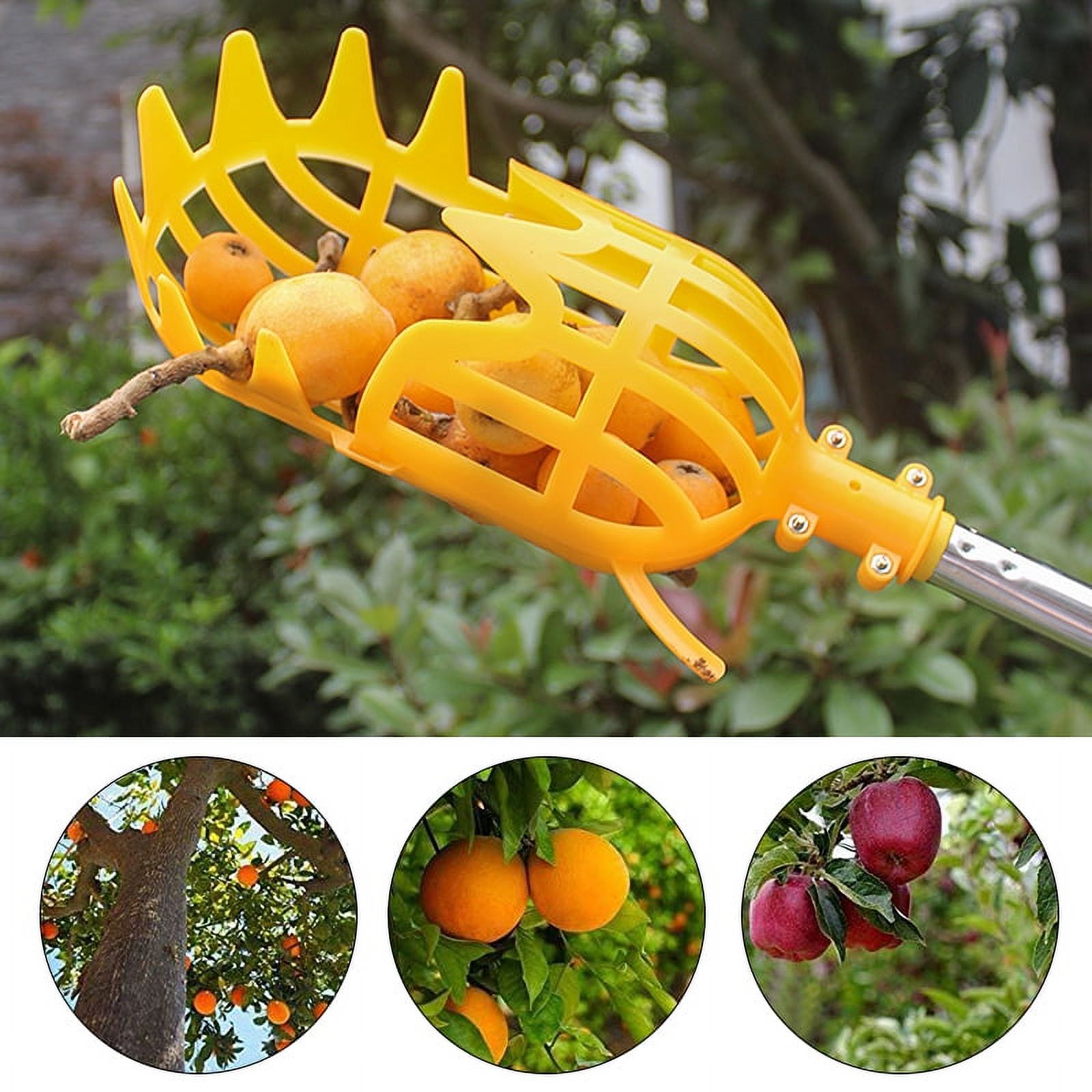 Fruit Catcher Gardening High Altitude Fruit Picker Greenhouse Garden ...