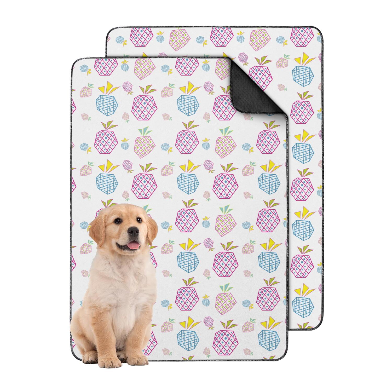Fruit Decor Washable Reusable Pee Pads, Absorbent Potty Pad with Secure ...