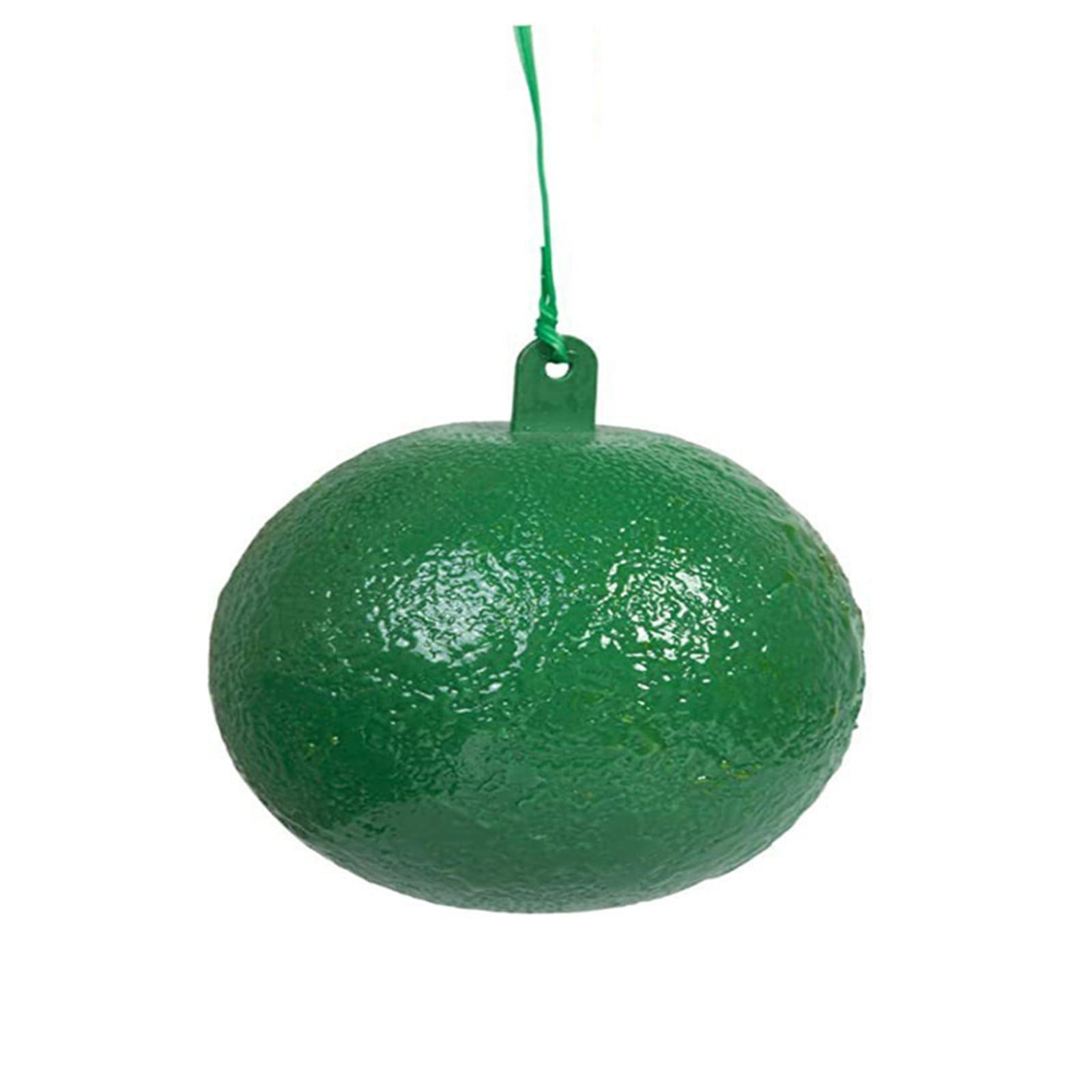 Fruit Fly Sticky Balls Needle Yellow/Green For Control And Balls ...