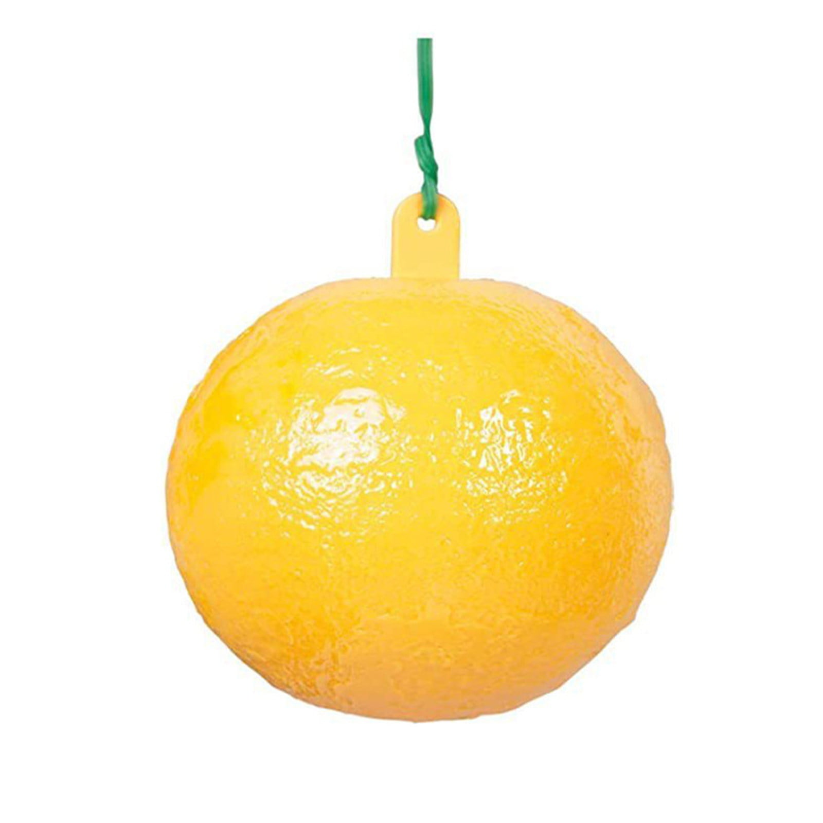Fruit Fly Sticky Needle Yellow/Green For Control And - Walmart.com