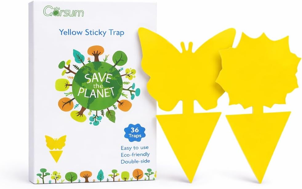 Fruit Fly Sticky Trap for Indoor and Outdoor, 36 Pack Fungus Gnat ...