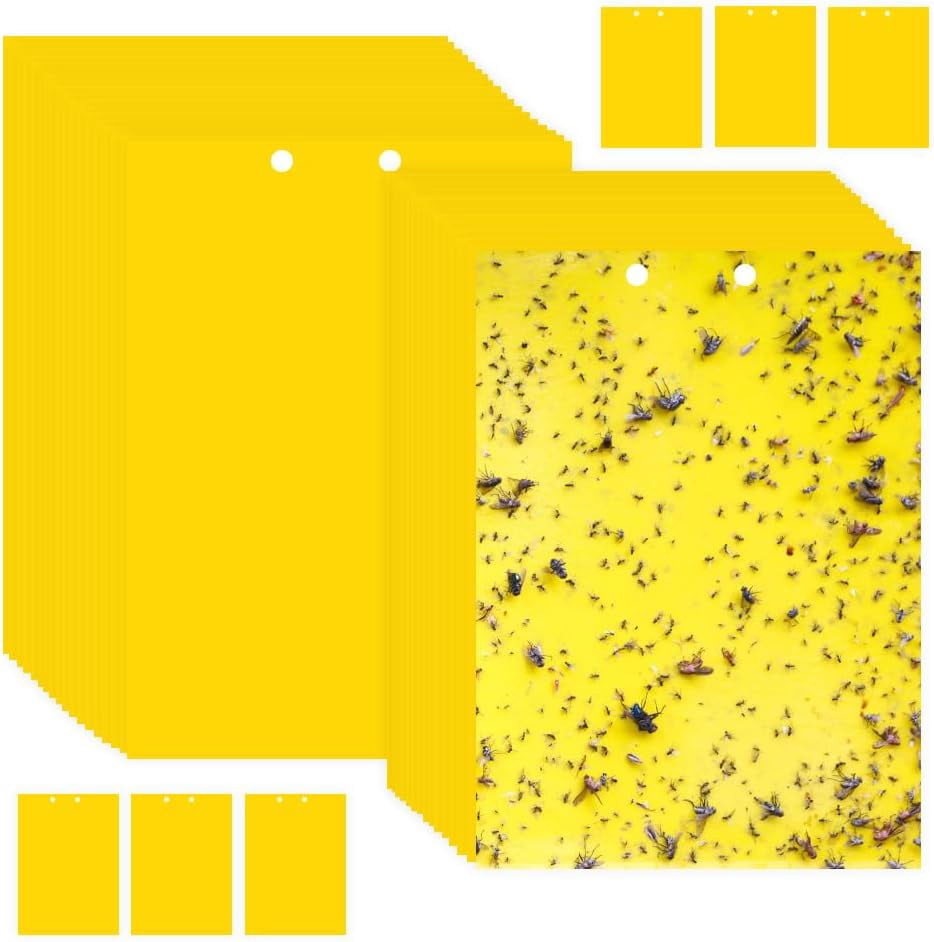 Fruit Fly Trap, Yellow Sticky Traps for Plant Gnats, Insect Control ...