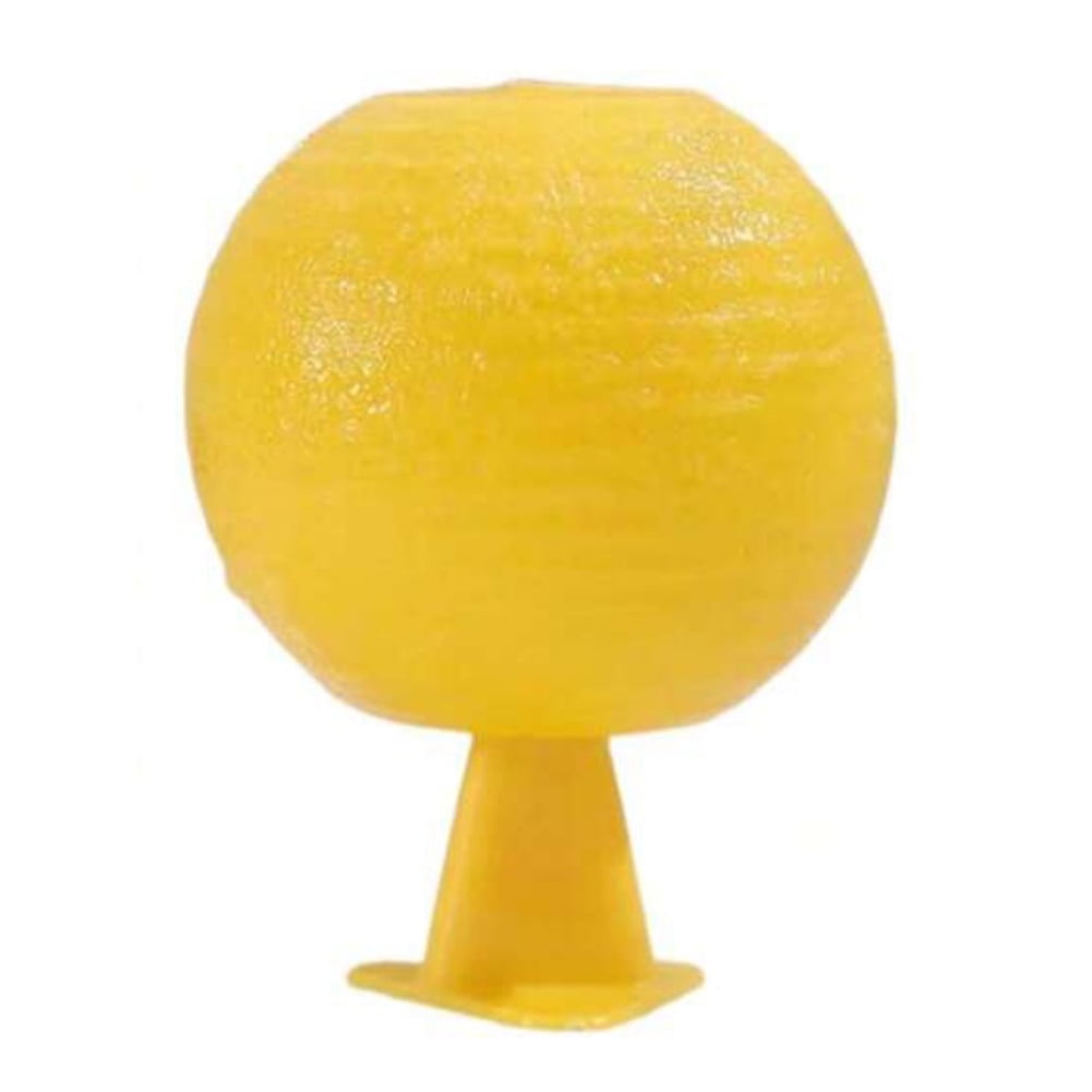 Fruit Fly Traps Sticky Fruit Fly Trap Ball Multifunction Flying Insects ...