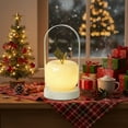 Fruit Glass Night Light Decorative Lamp, Cute Ambient Desk Light with ...