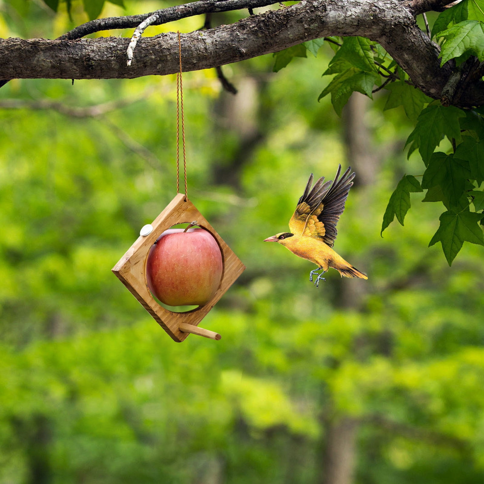Fruit Holder Wooden Bird Feeder,Hanging Mount Bird Feeders for Outdoors ...