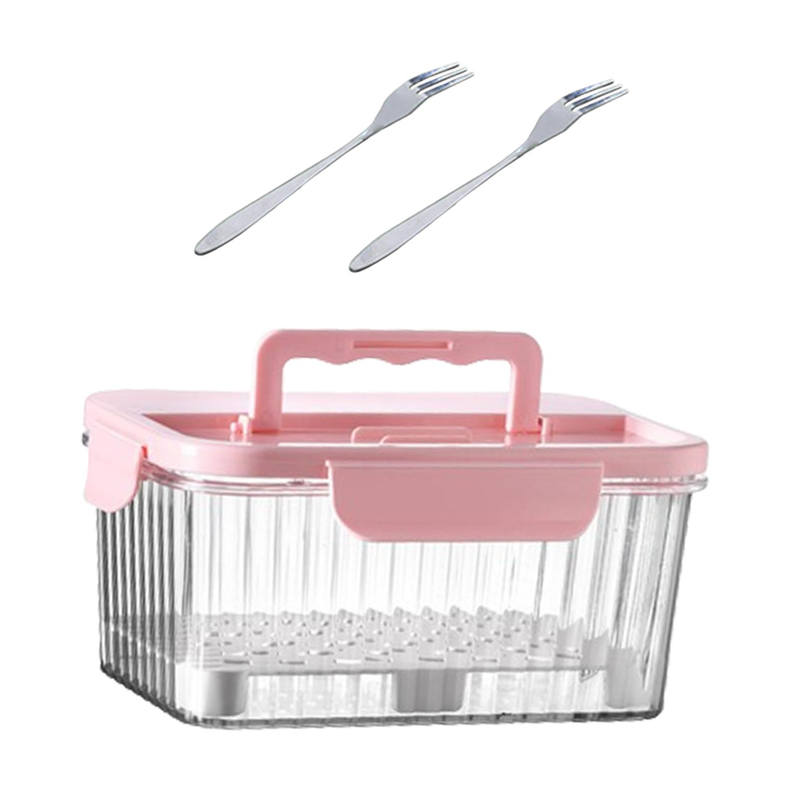 Fruit Lunch Box Vegetables Food Container Rectangular Lunch Box with ...