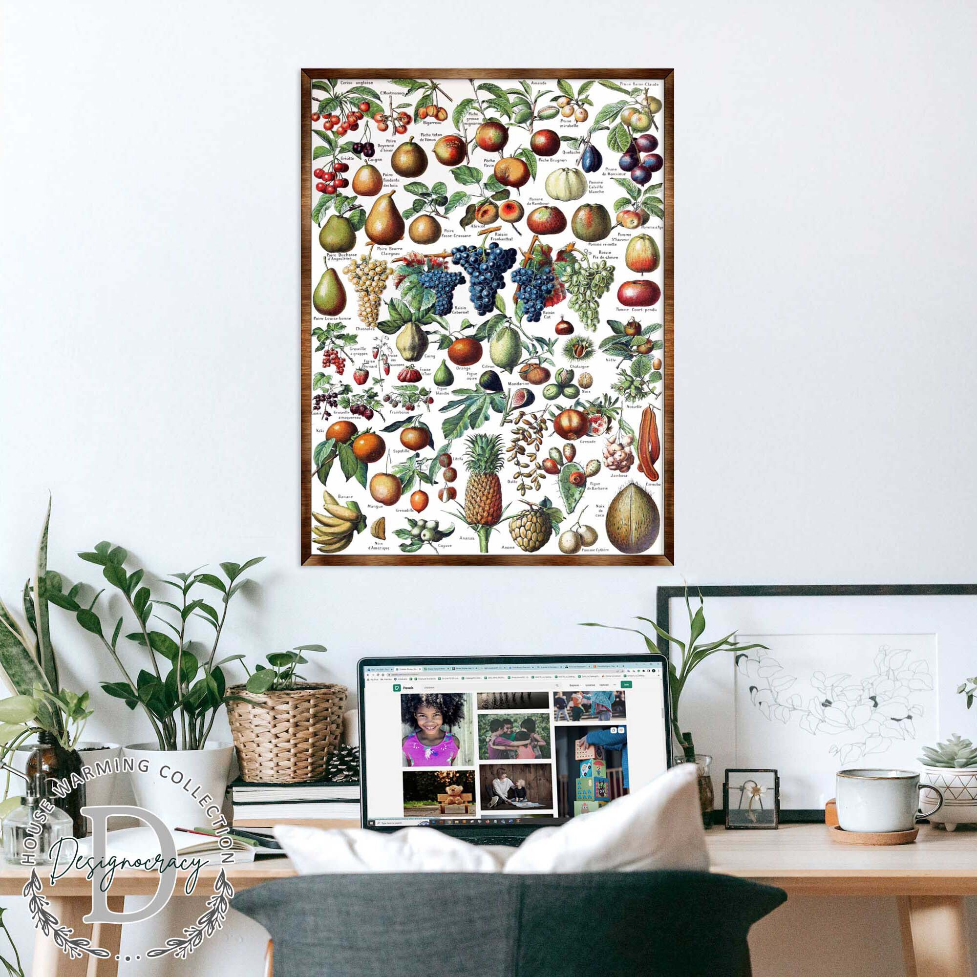 Fruit Montessori Wooden Poster | Homeschool I Educational Poster ...