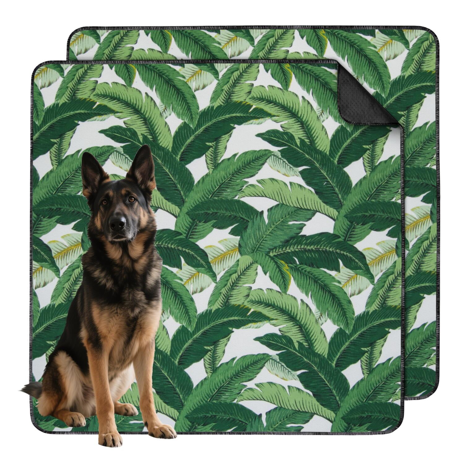 Fruit Motif Washable Reusable Pee Pads, Absorbent Dog Potty Pad with ...