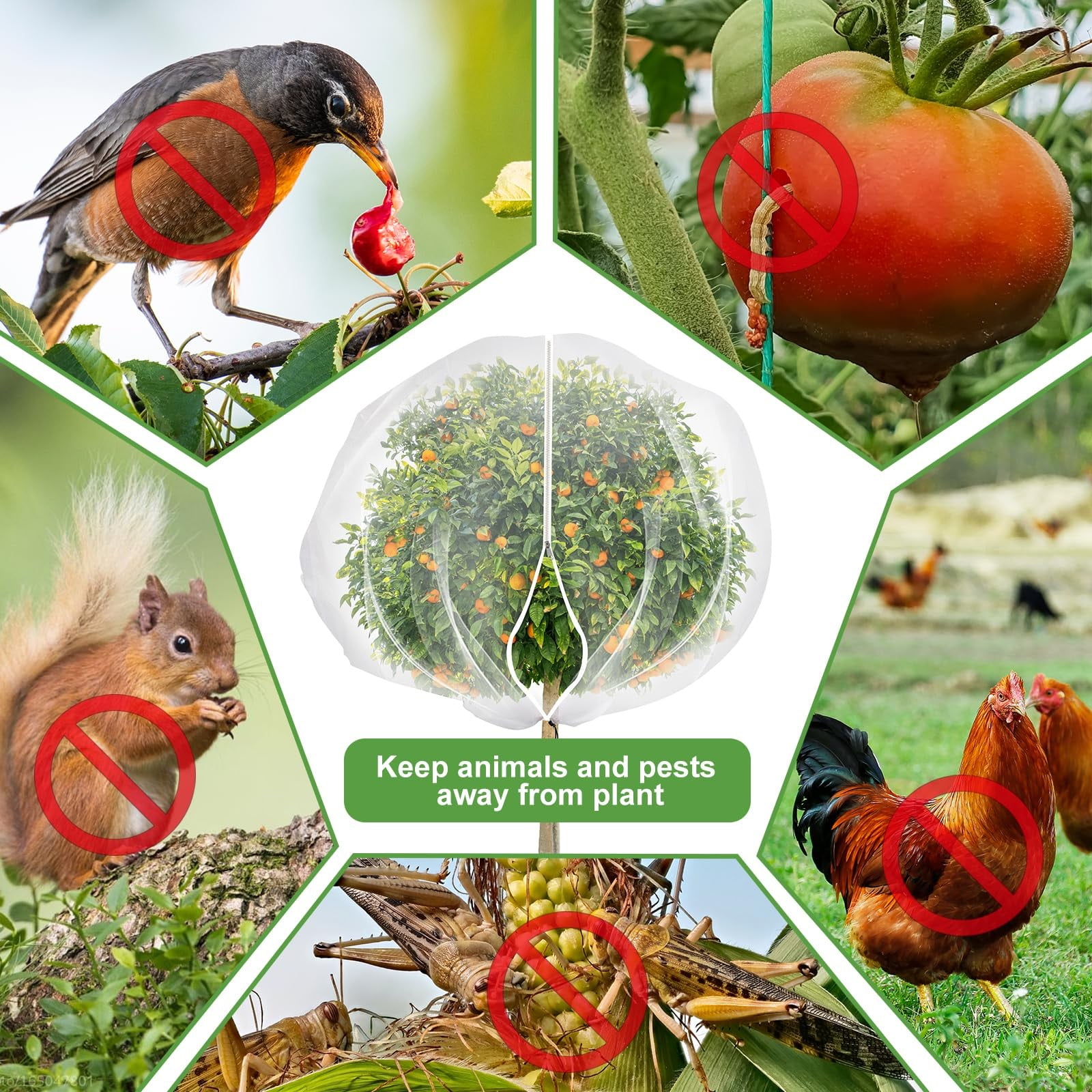 Fruit Net Cover Garden Net Cover Bird & Barrier For Greenhouse ...