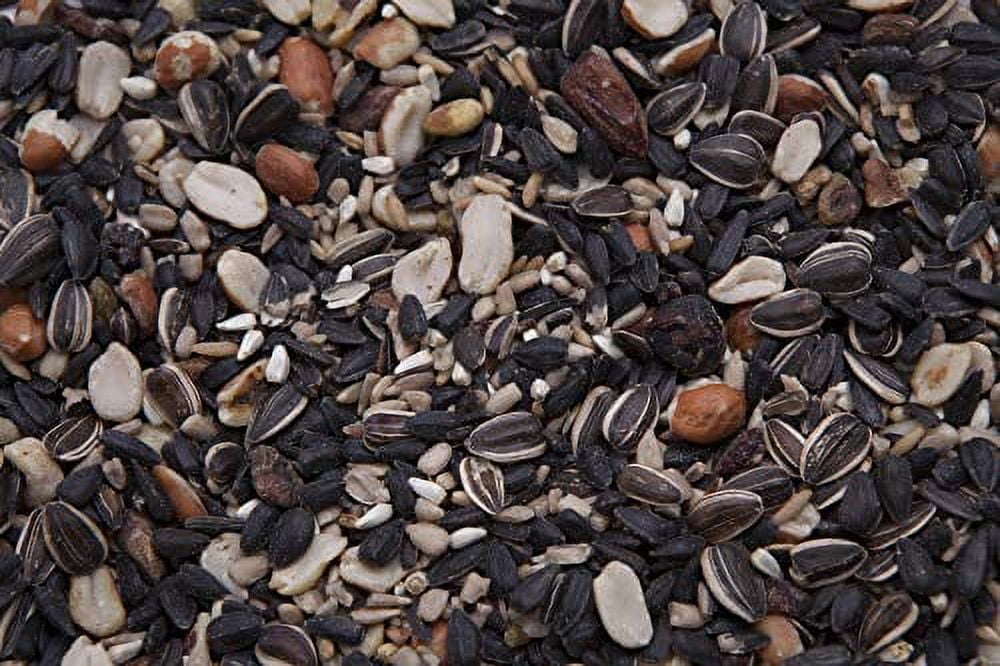 Fruit & Nut Blend All Natural Wild Bird Food Birds Love (20) - Walmart.com