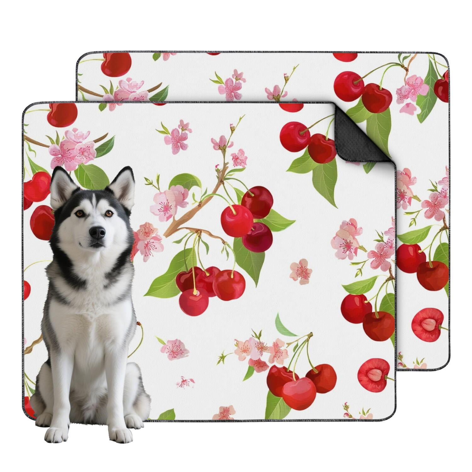 Fruit Patterns Design 35"x41" Washable Dog Pee Pads, Reusable Potty ...