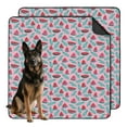 Fruit Patterns Design 48"x48" Washable Dog Pee Pads, Reusable Potty ...