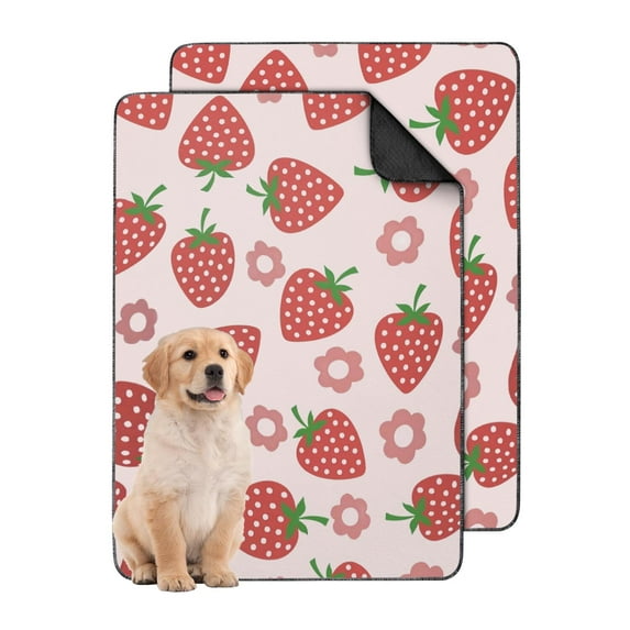 Fruit Patterns Reusable Dog Pee Pads, Machine Washable Absorbent Mat ...