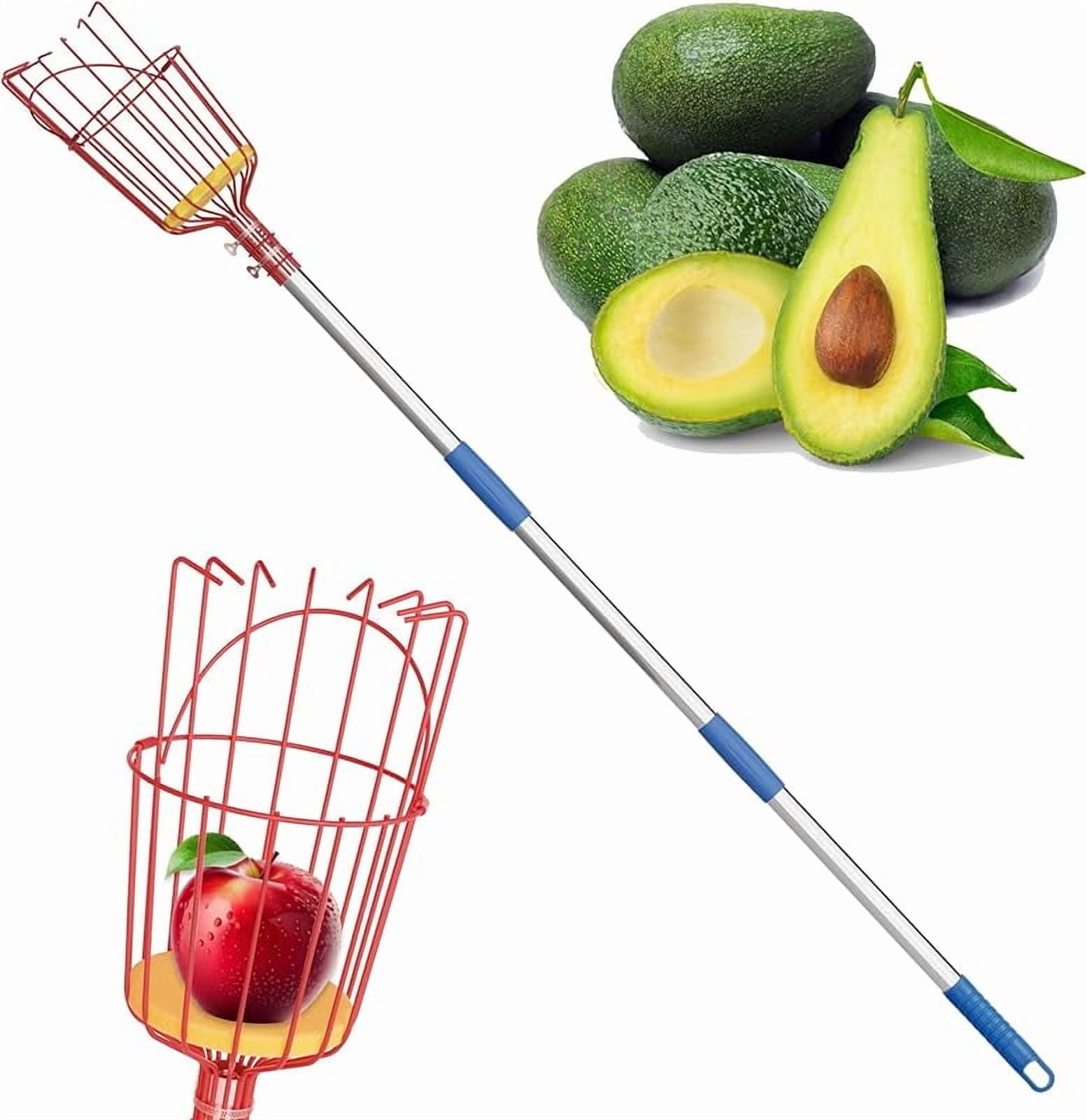 Fruit Picker, 8 ft Long Fruit Picker Pole with Basket Telescoping ...