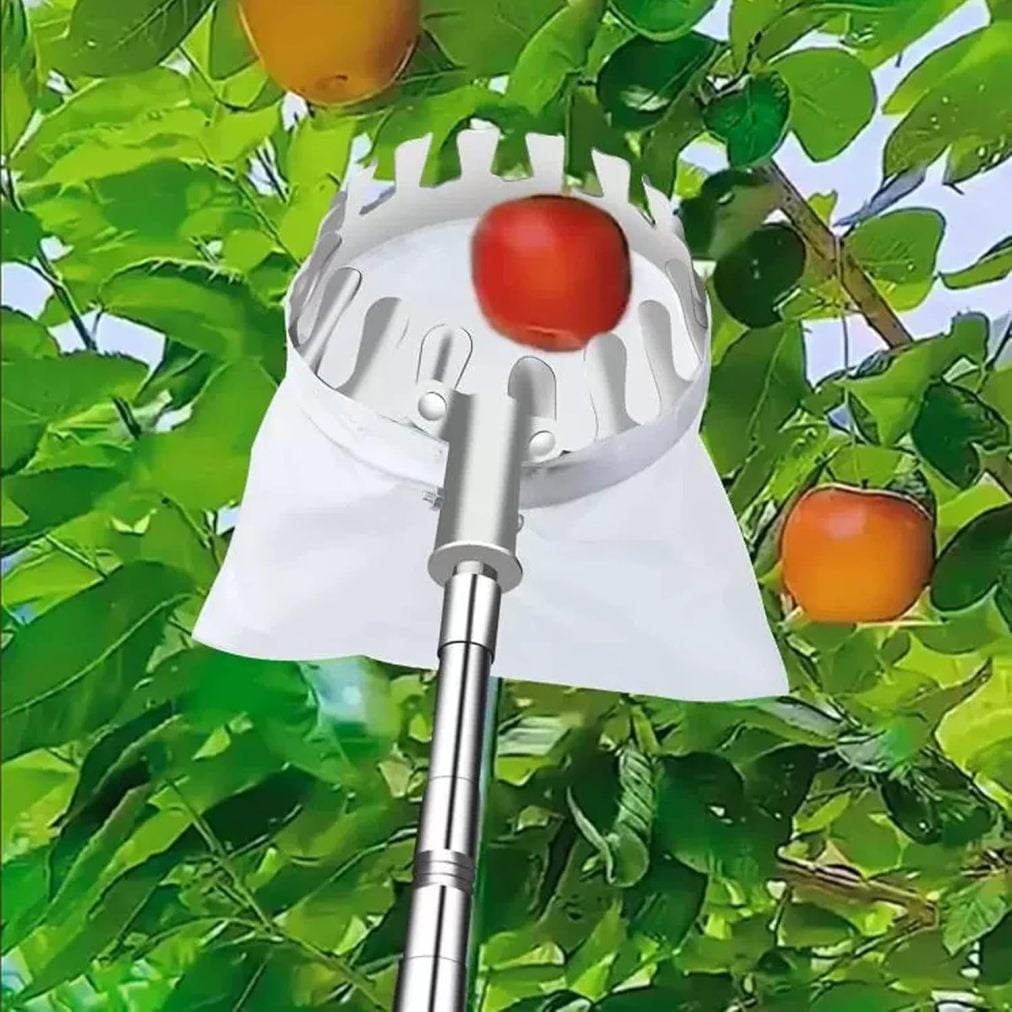 Fruit Picker Fruit Collector with Telescopic Handle Adjustable Fruit ...