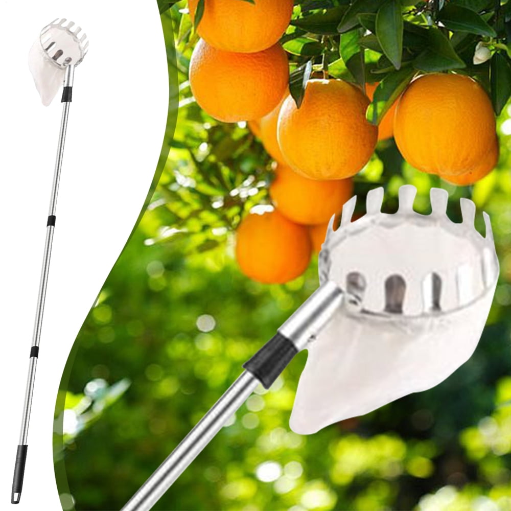 Fruit Picker | Fruit Picker Pole with Basket | Ergonomic Gadget ...