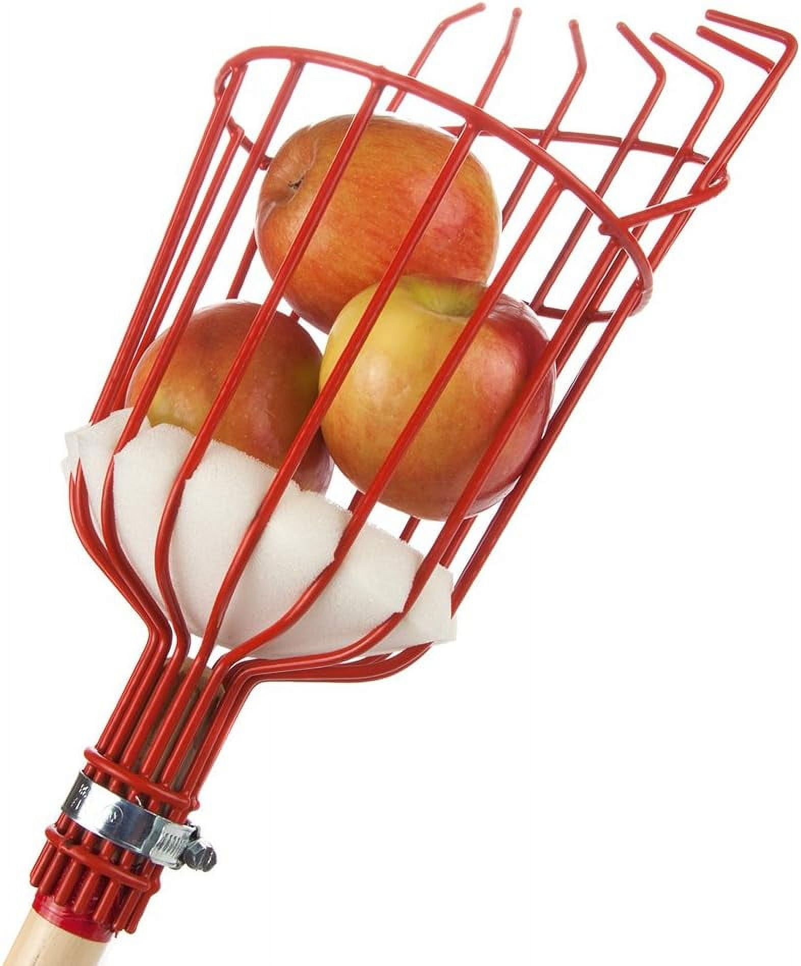 Fruit Picker Harvester Basket with Cushion to Prevent Bruising (Pole ...
