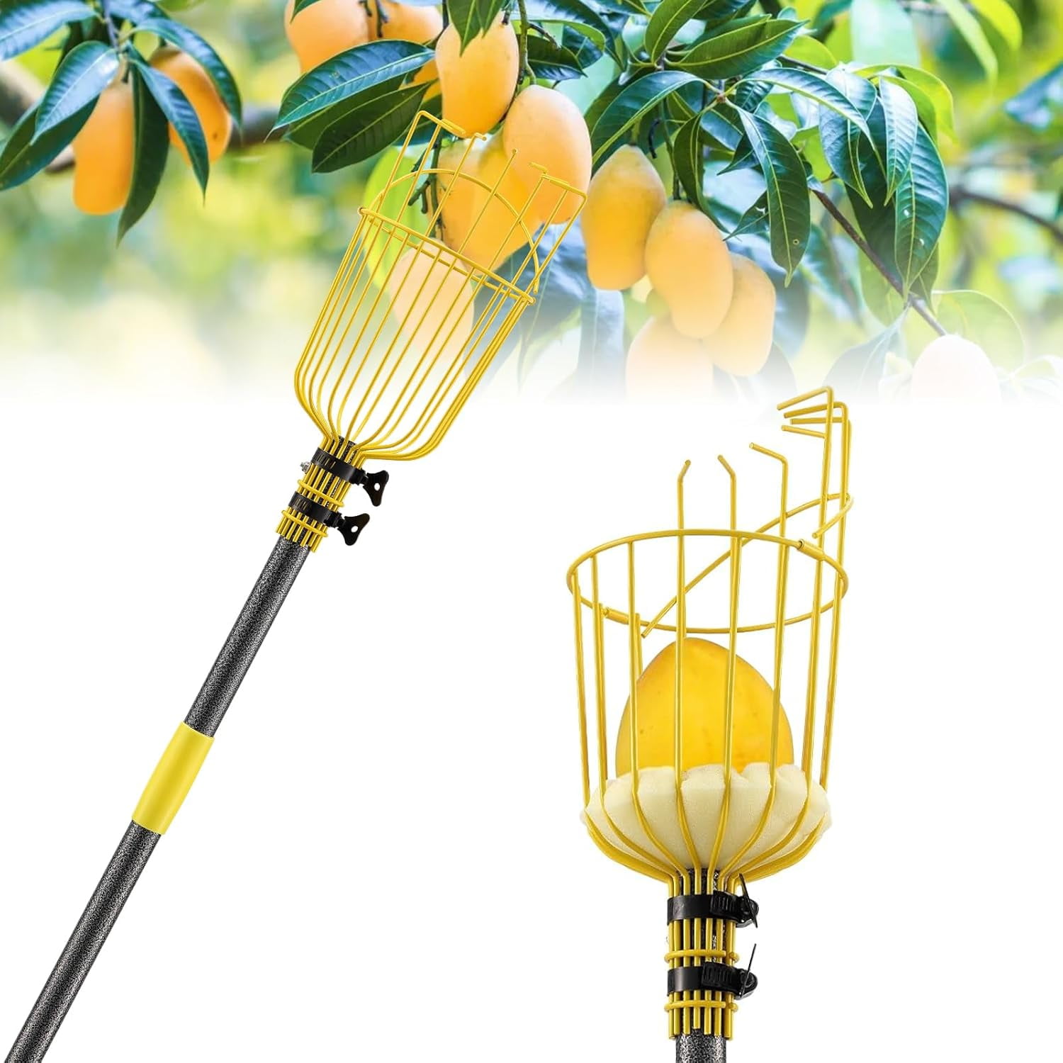Fruit Picker Pole with Basket,8FT Long Heavy Duty Mango Picker Tool with Adjustable Fruits ...