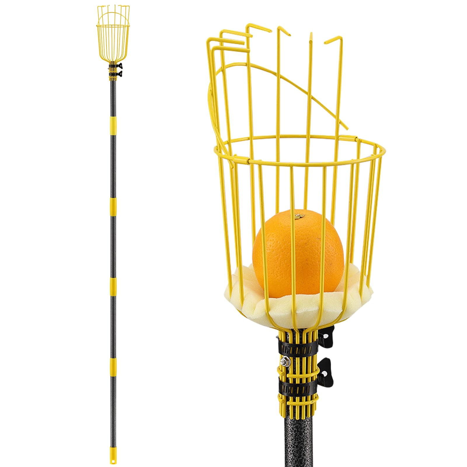 Fruit Picker Pole with Basket Telescopic Pole, 8ft Extendable Fruit ...