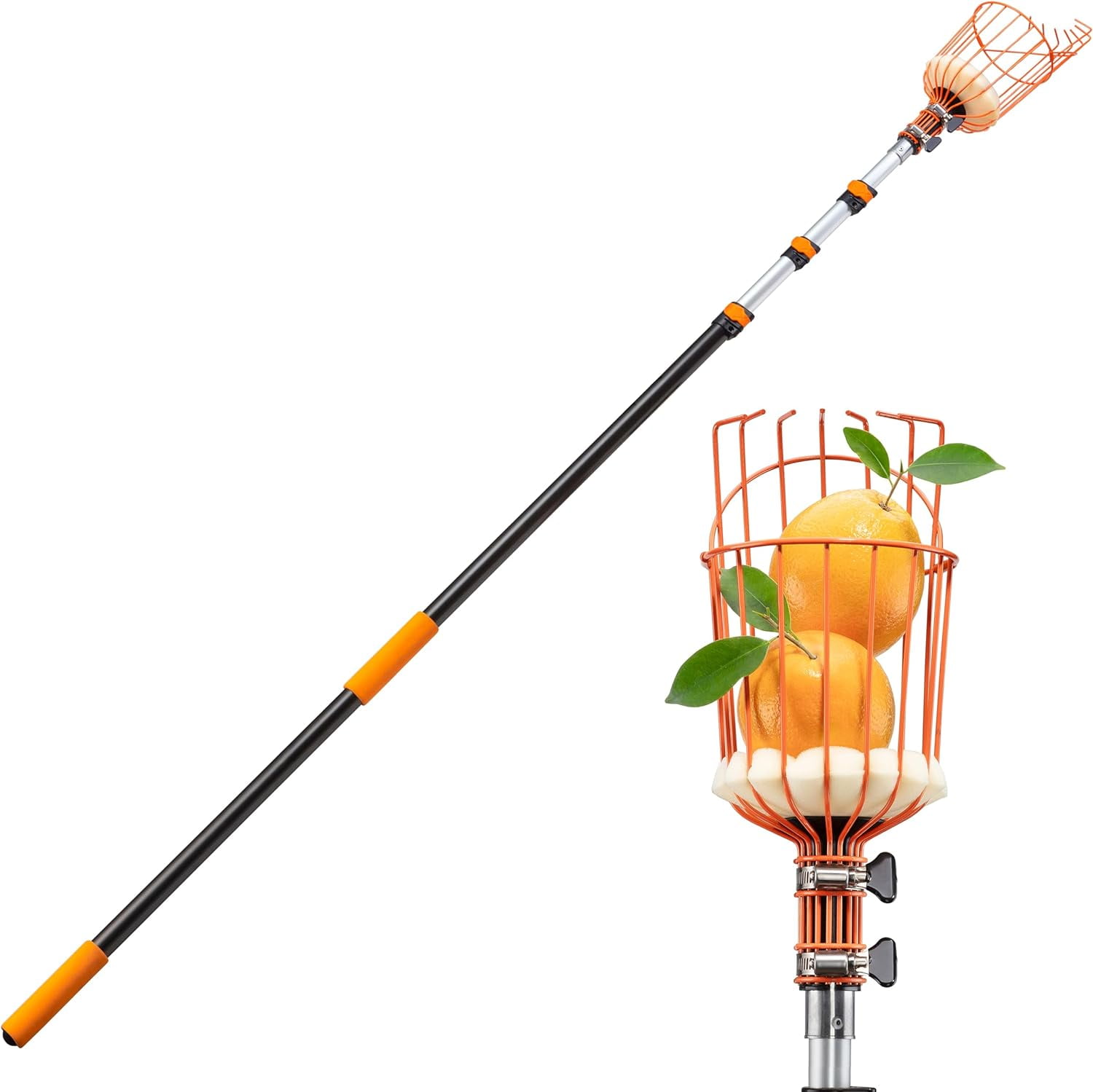 Fruit Picker Pole with Basket Telescoping 7-30 ft Apple Picker ...
