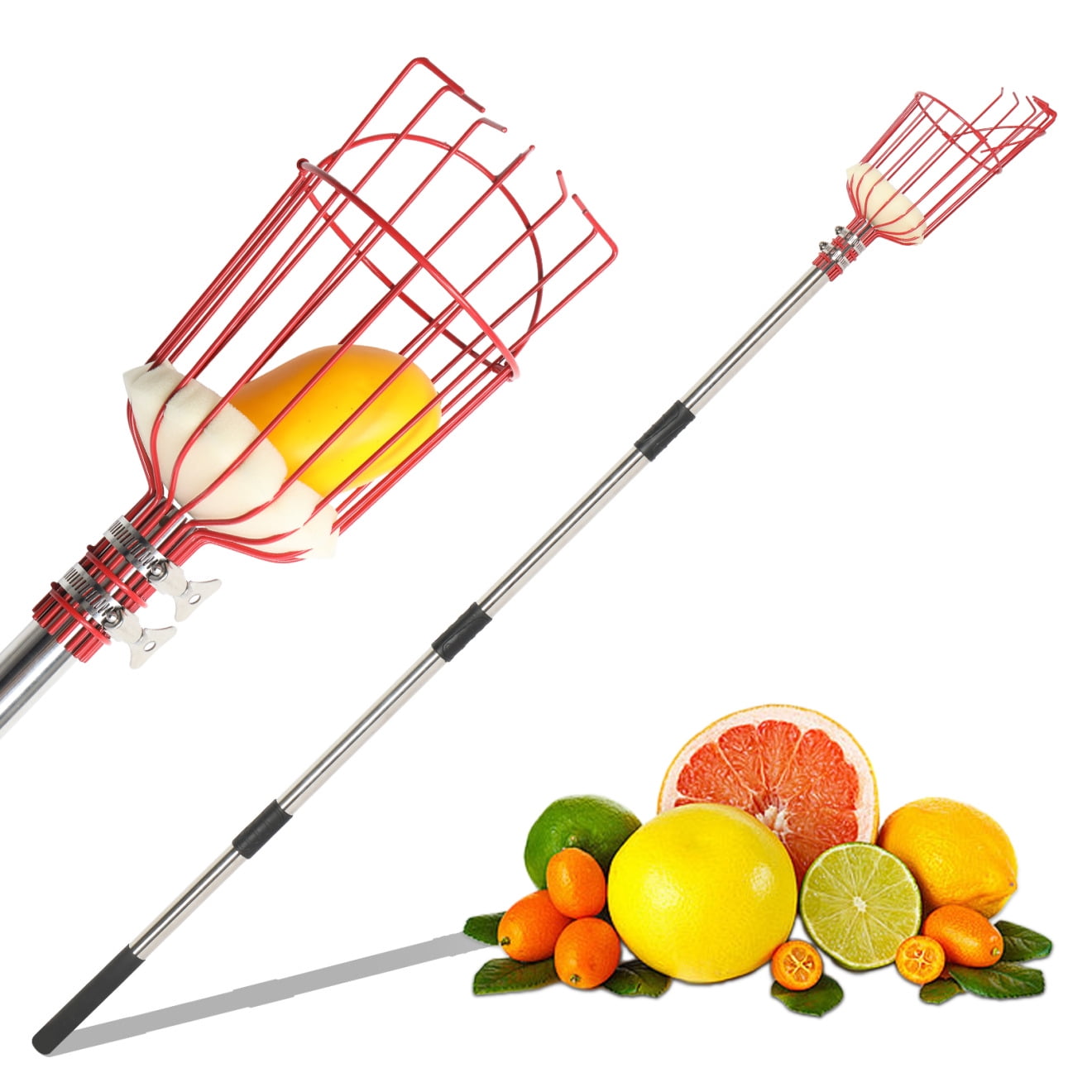Fruit Picker Pole with Basket Telescoping, Adjustable Citrus Orange ...