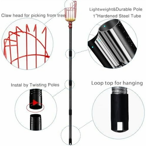 Fruit Picker Pole with Basket Telescoping, Citrus Orange Picker Pole ...