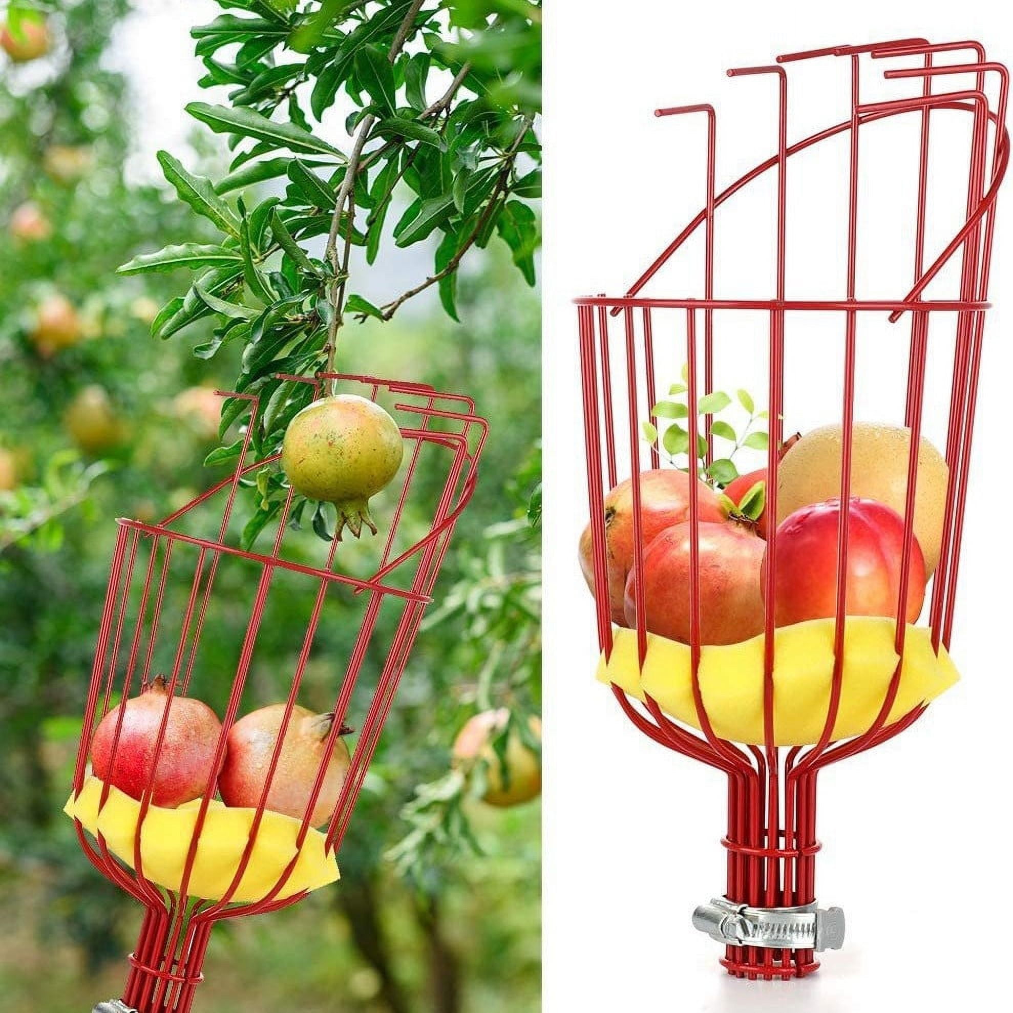 Fruit Picker Pole Tool with Basket Telescoping Long Handle, 35-157 Inch ...