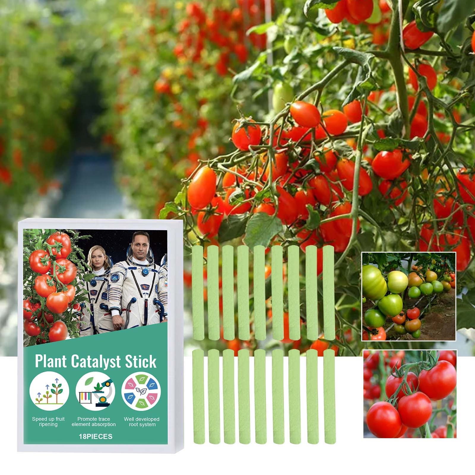 Fruit Ripening Accelerator | Plant Growth Promoter Sticks | Enhances ...