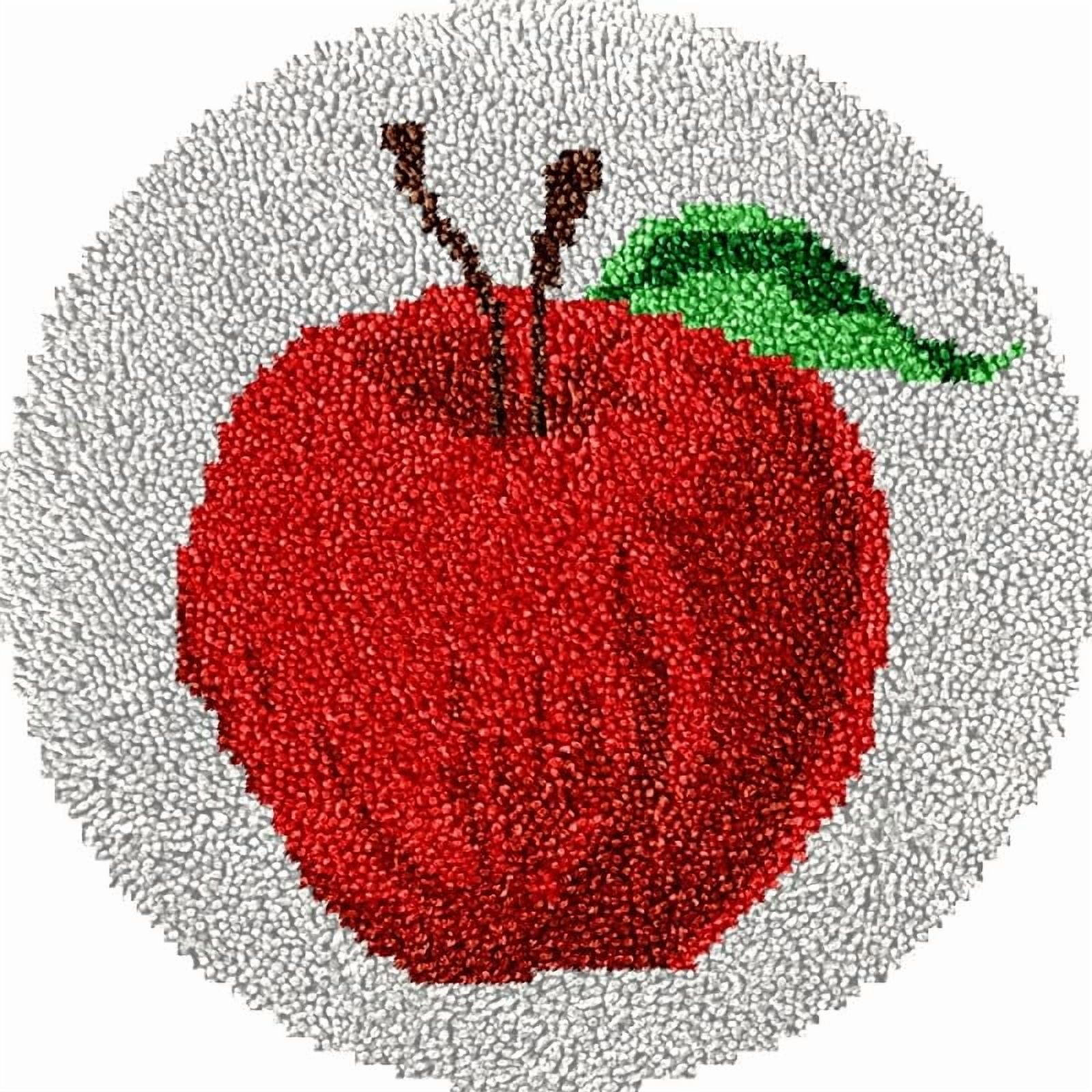 Fruit Round Shape Latch Hook Rug Kits Set for Starter Crochet Hook ...