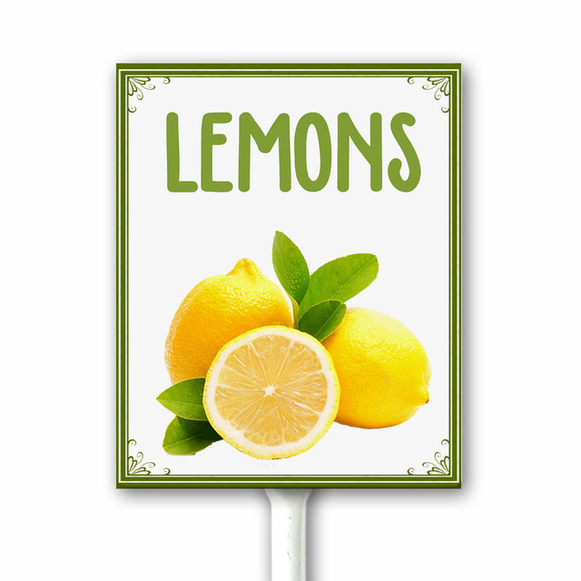 Fruit Signs For Garden Lemons Yard Sign With Metal Stake Durable ...