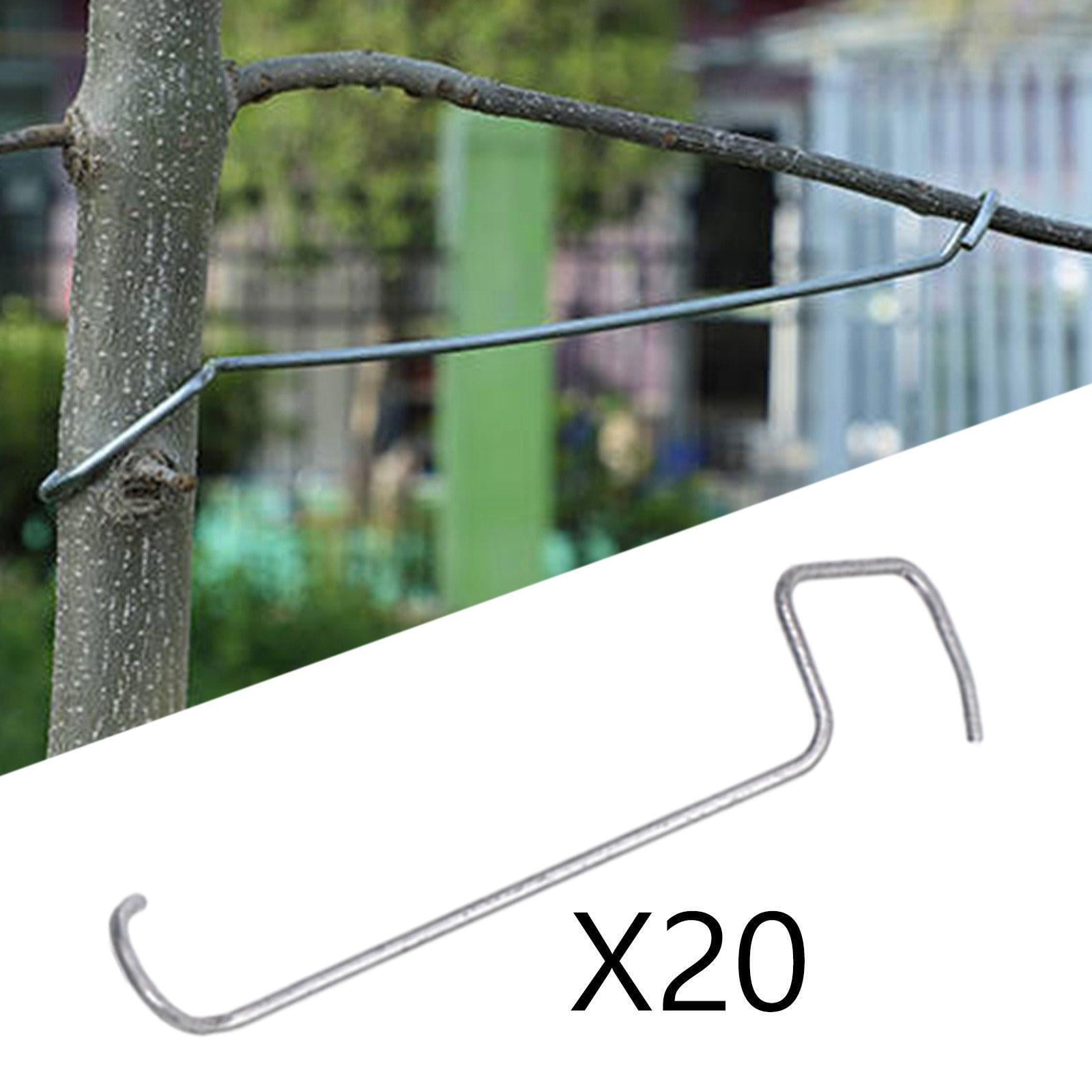 Fruit Tree Branch Pulling Artifacts Side Branch Don't Branch Shape ...