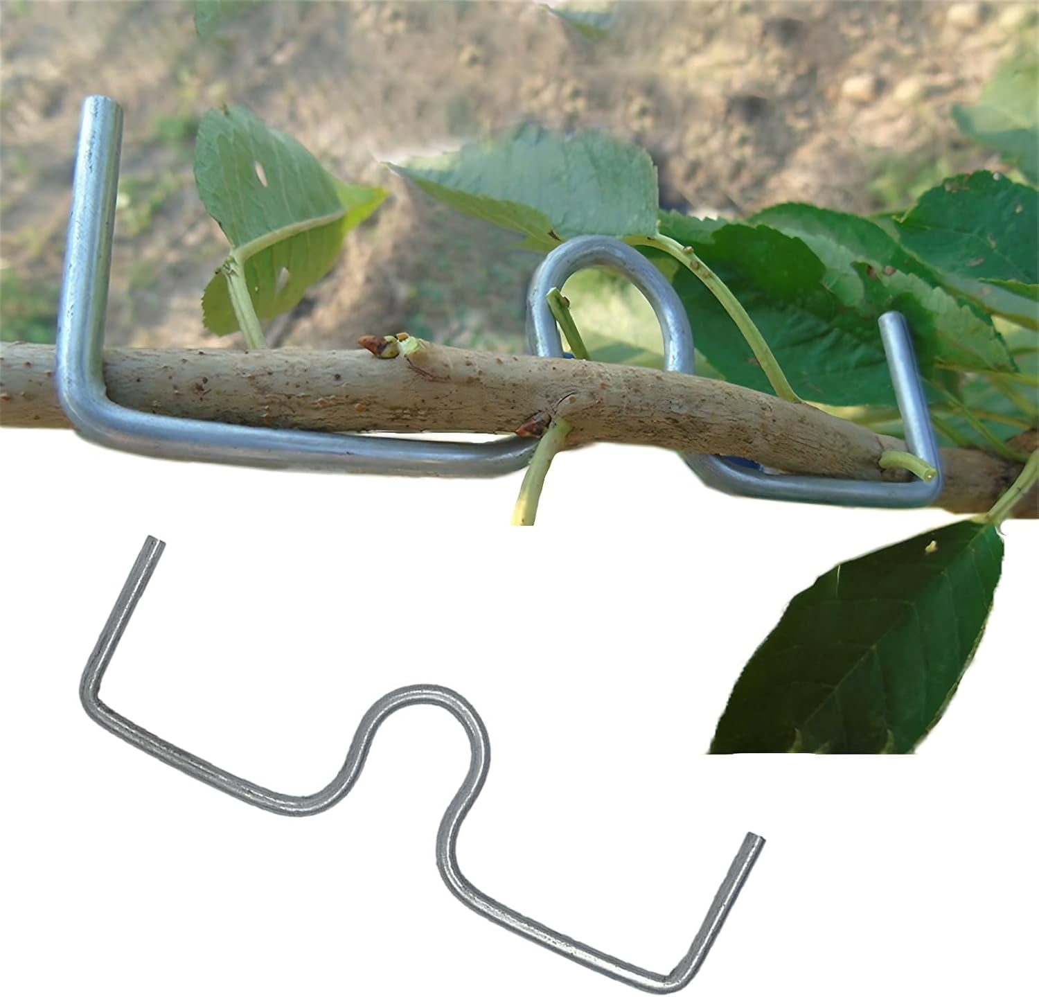 Fruit Tree Branch Spreader 3.1IN, 24PCS Tree Limb Spreader, Plant ...