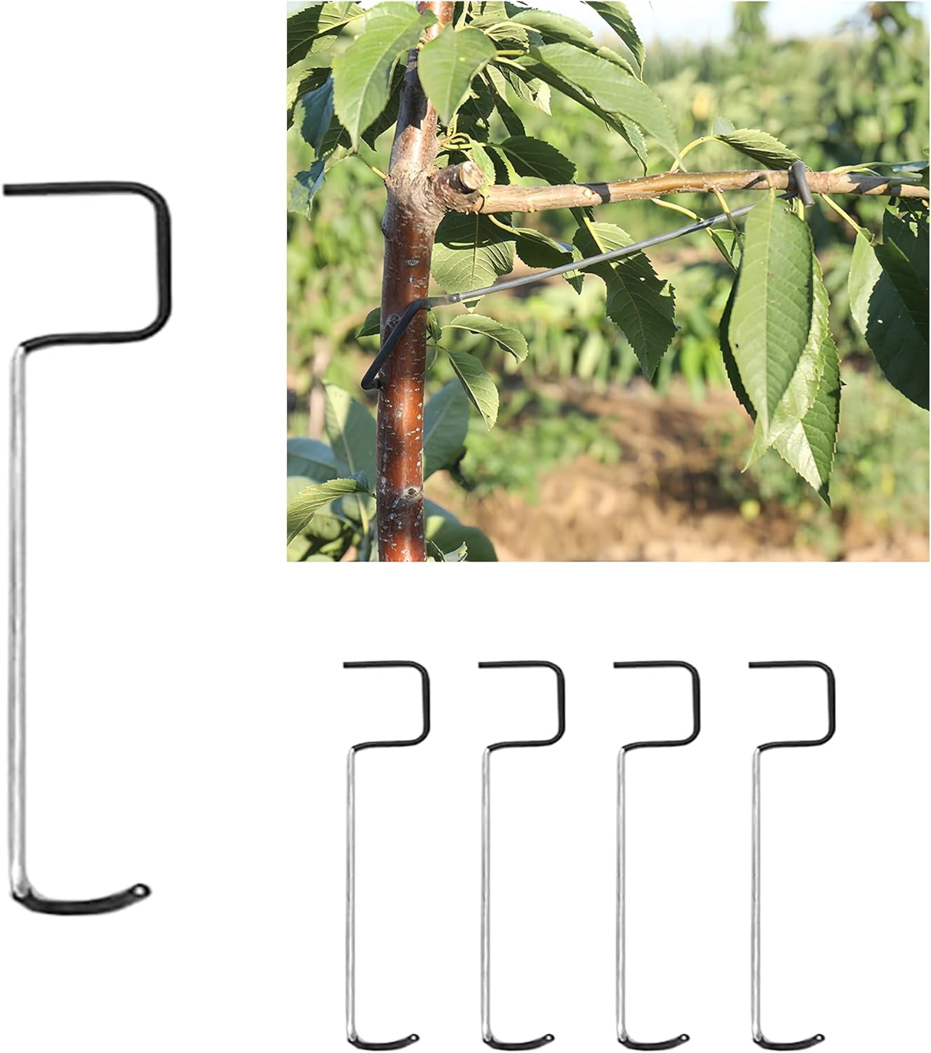 Fruit Tree Branch Spreaders:Limb Spreaders for Fruit Trees,Tree Support ...