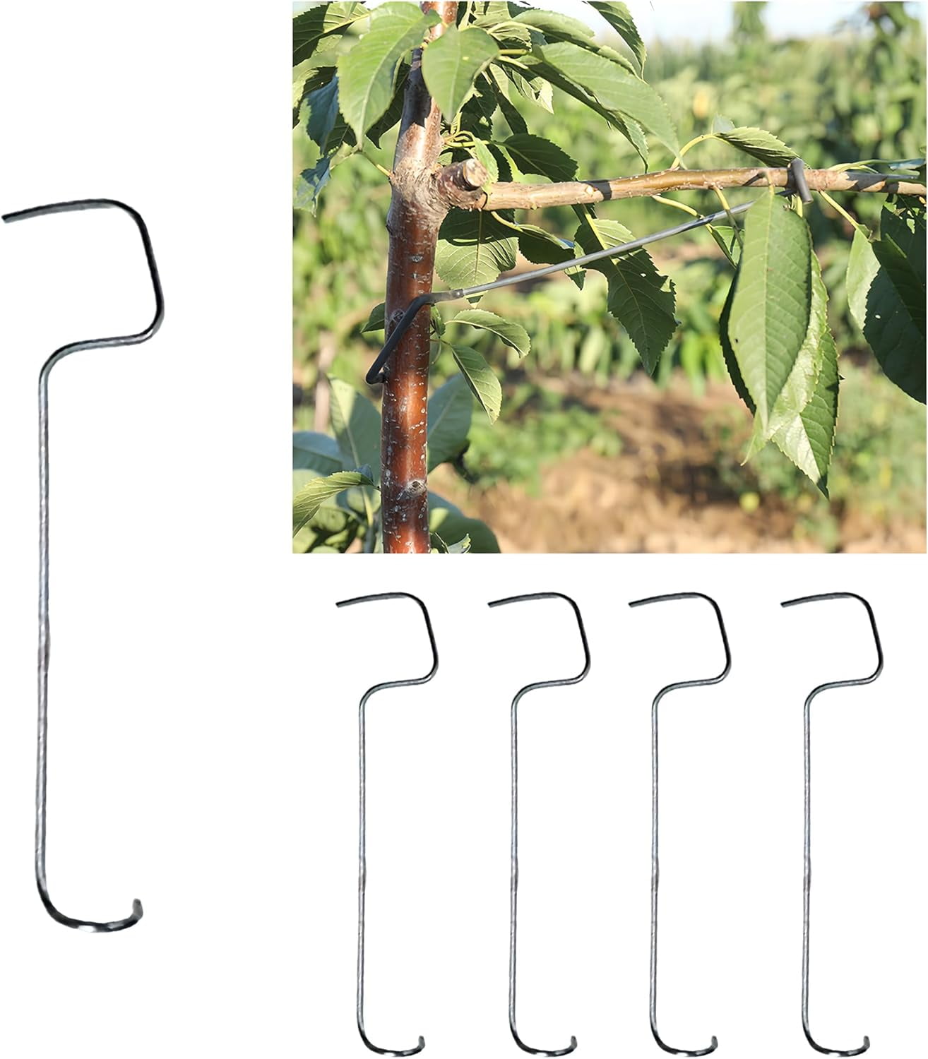 Fruit Tree Branch Spreaders:Limb Spreaders for Fruit Trees,Tree Support ...