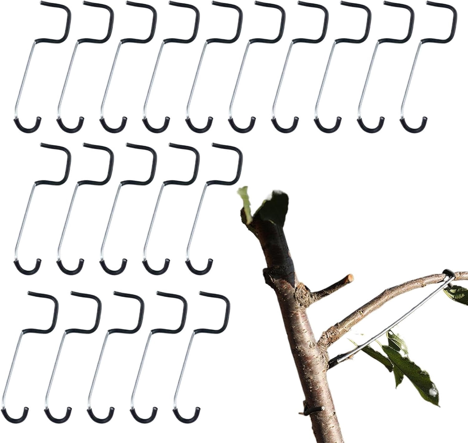 Fruit Tree Limb Spreader Clips For Branch Bending Orchard Garden Lawn ...