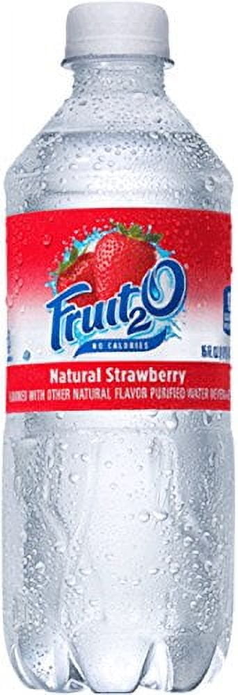 Fruit2O Strawberry Flavored Water, 16 Ounce, (24 Bottles) - Walmart.com