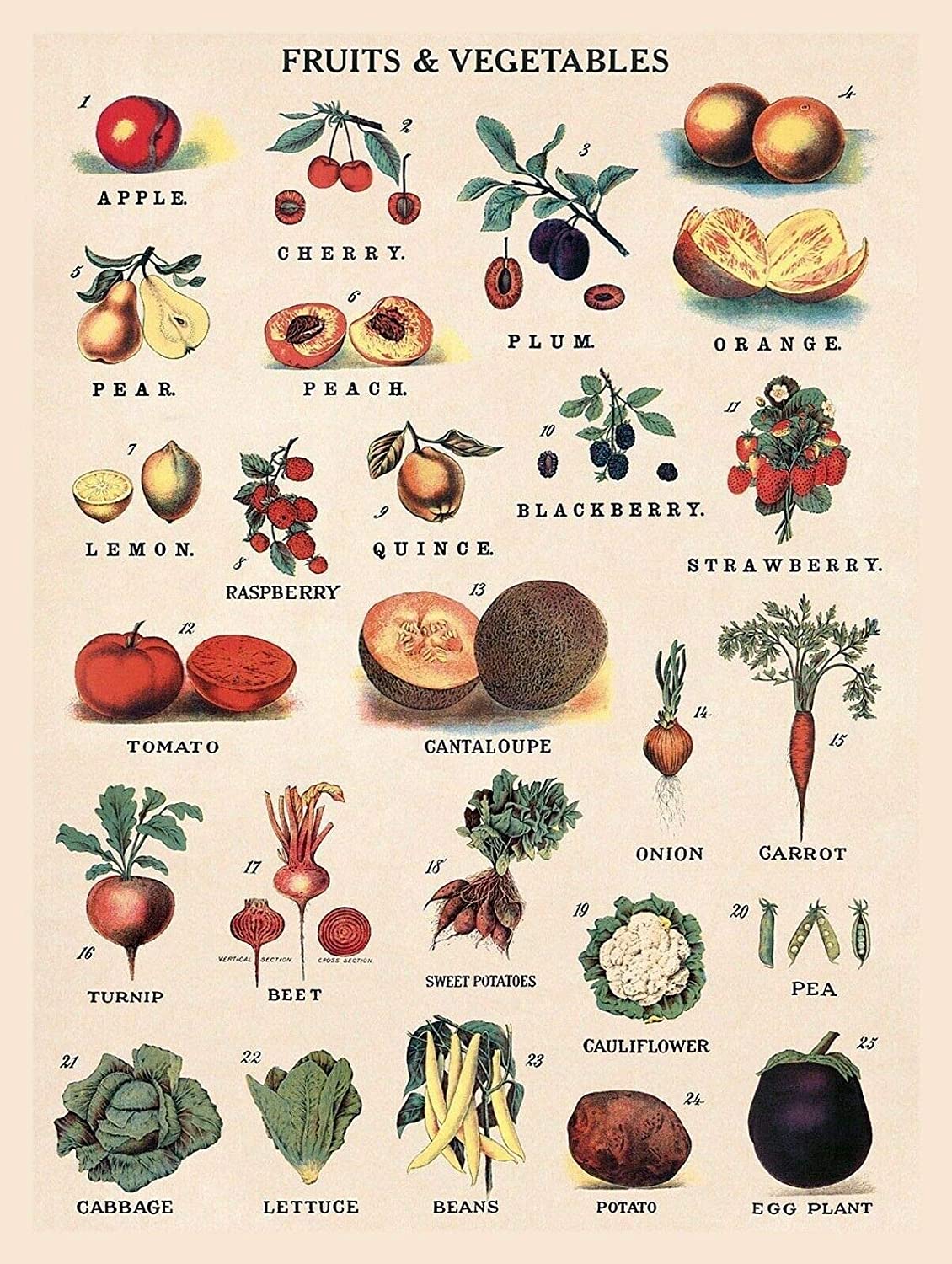 Fruits And Vegetables Diamond Art Kits for Adults - 5D Diamond Painting ...