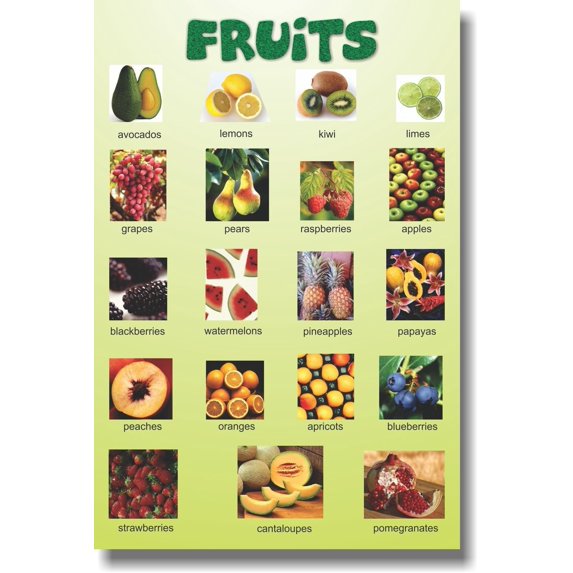 Fruits - Classroom Food Science Poster - Walmart.com
