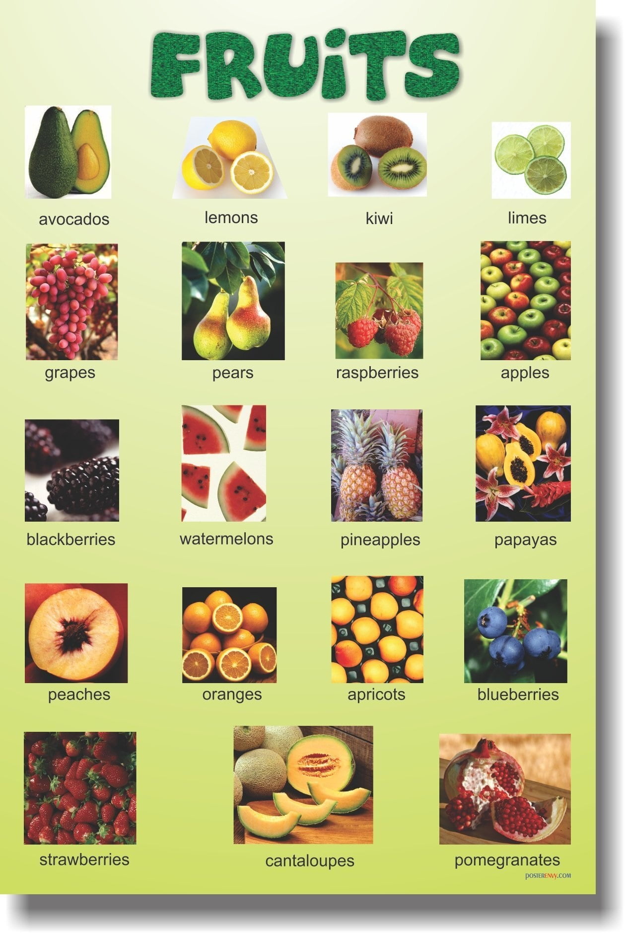 Fruits - Classroom Food Science Poster - Walmart.com