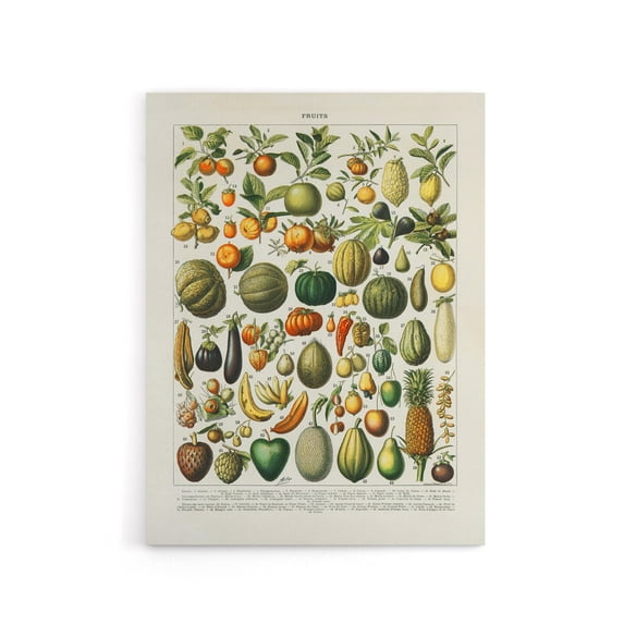 Fruits and Vegetables Vintage French Encyclopedia Canvas Wall Art 18X24" - Walmart.com