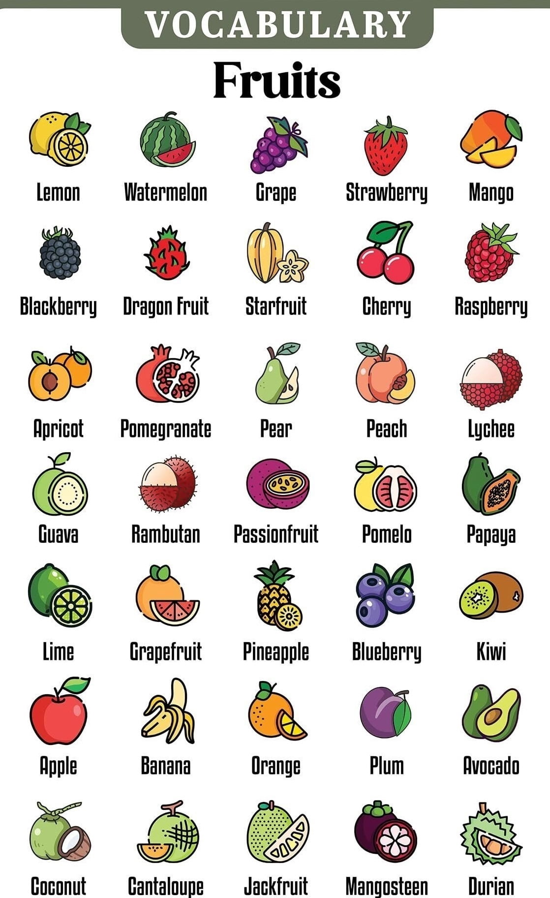 Fruits poster Educational Preschool Poster for Toddlers and Kids Great ...